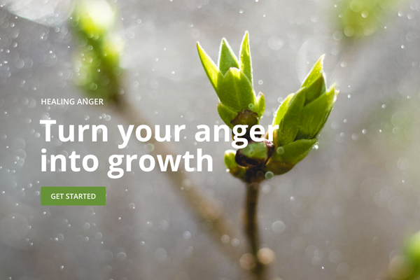 Durwin Foster Archives — Healing Anger